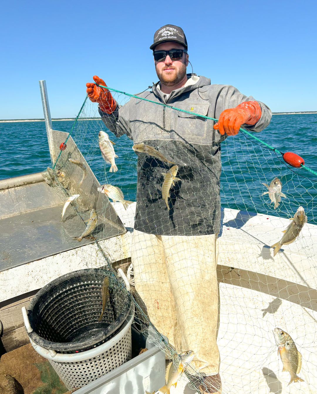 Seafood Distributor | Hampstead NC | Atlantic Seafood – atlantic-seafood-nc