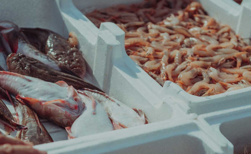 Fresh Seafood | Our Products | Atlantic Seafood – atlantic-seafood-nc